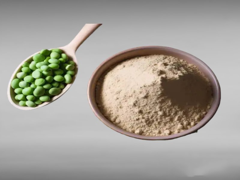 Embracing health, pea protein powder is quietly gaining popularity ...