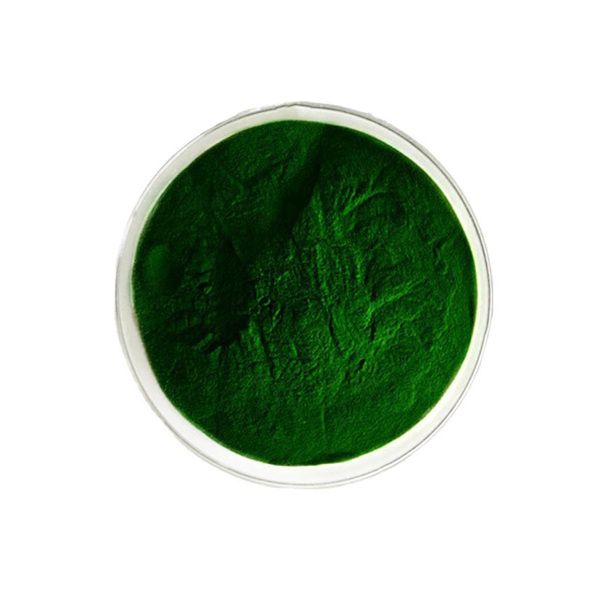 Euglena Powder Euglena Gracilis Powder – Joinedfortunechemical