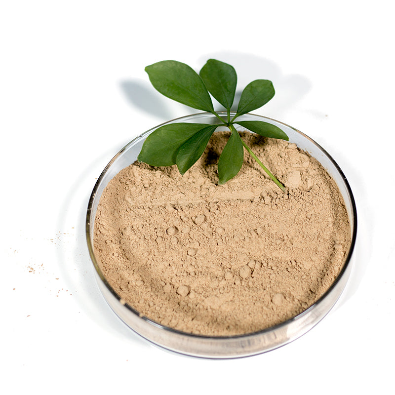 Buy Cosmetic Raw Materials Arbutin Extract – Joinedfortunechemical